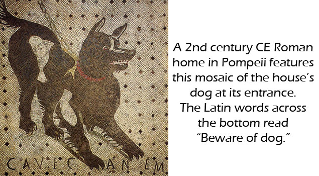 AntiquityNOW Celebrates National Pet Month | AntiquityNOW