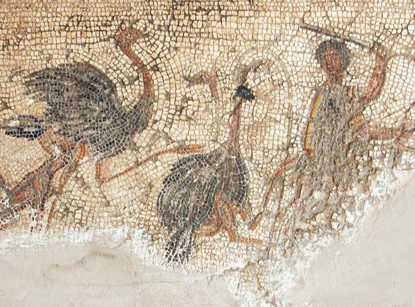 Bon Appetit Wednesday! Ancient Roman Ostrich Ragoût | AntiquityNOW